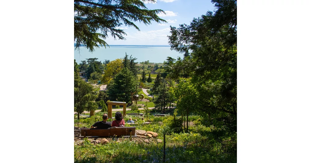 Fogadj örökbe egy Folly fát – a jubileumi évben