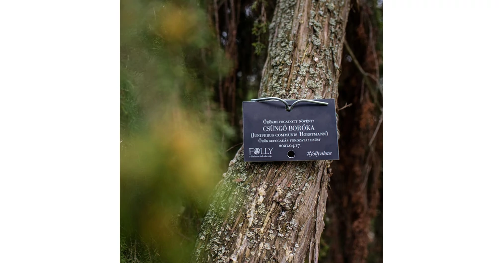 Fogadj örökbe egy Folly fát! – Interjú az egyik első örökbefogadóval ...